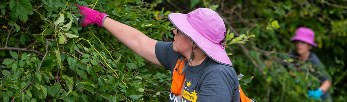 Ohio Health Insurance Plans | Medical Mutual - Home